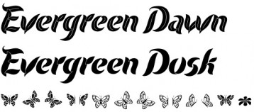 Evergreen font – a typeface to express the beauty of nature